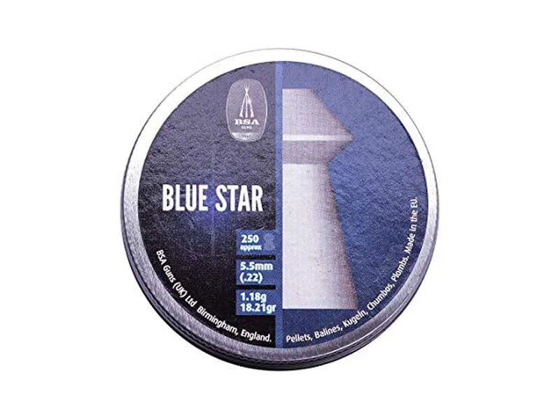 BSA Blue Star 250 .22