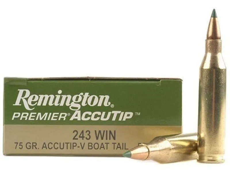 Remington Accutip 243 75gr