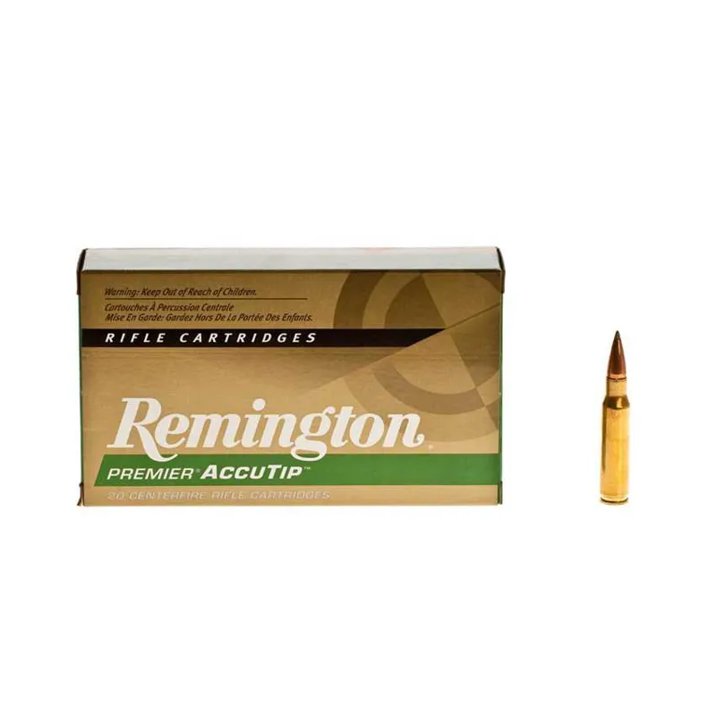 Remington 308 Win 165g